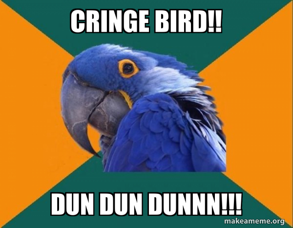 CRINGE BIRD!! DUN DUN DUNNN!!! - Paranoid Parrot Meme Generator