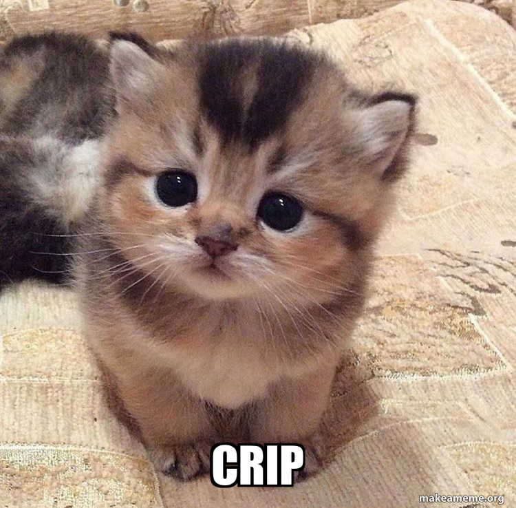 crip Meme Generator