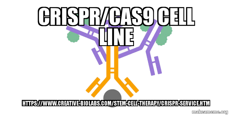 CRISPR/Cas9 Cell Line https://www.creative-biolabs.com/stem-cell ...