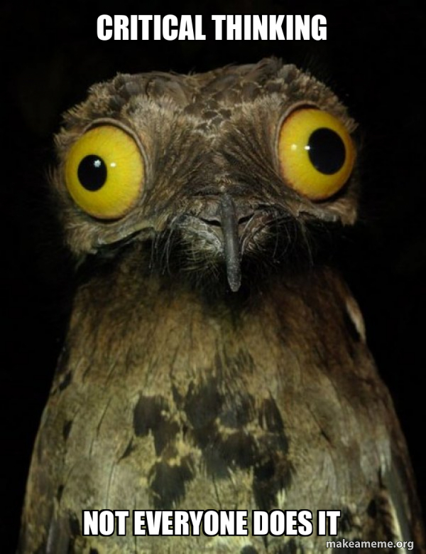 Critical thinking Not everyone does it - Weird Stuff I do Potoo Meme ...
