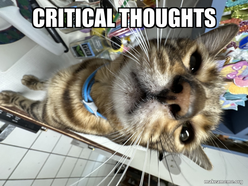 critical thoughts Meme Generator