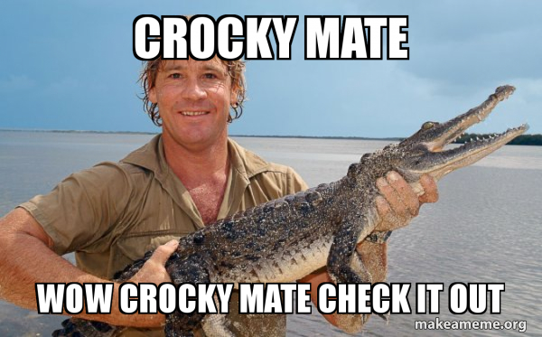 crocky mate wow crocky mate check it out - Steve irwin Meme Generator