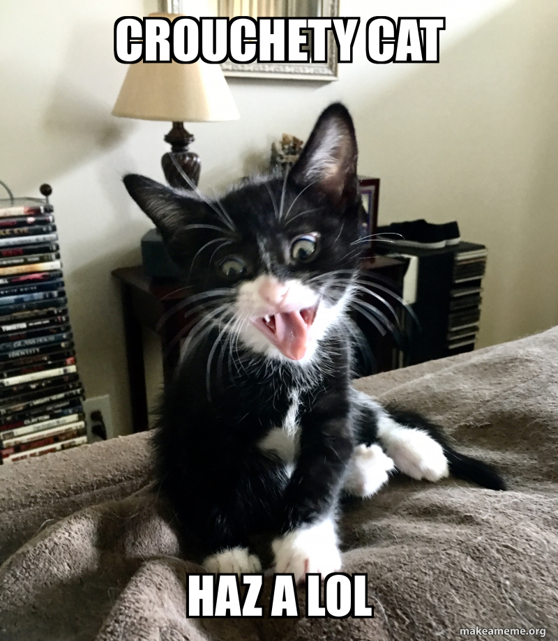 Crouchety cat Haz a lol Meme Generator
