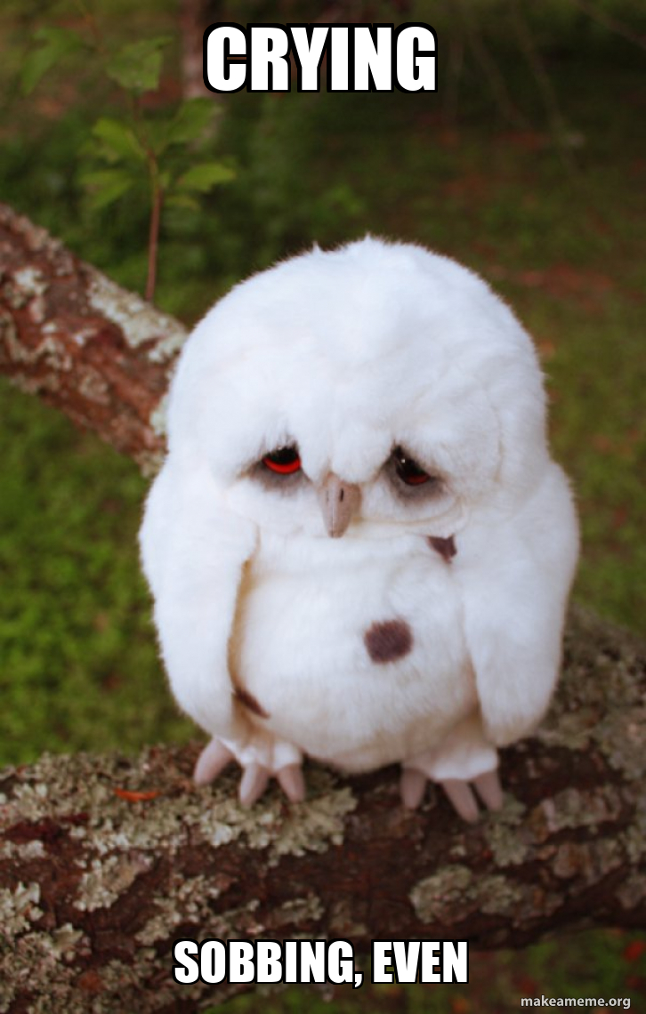 crying sobbing, even - Sad Owl Meme Generator