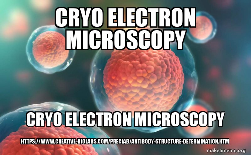 cryo electron microscopy cryo electron microscopy https://www.creative ...