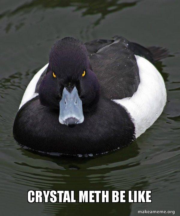 Crystal Meth Meme PHOTOS: Before And After Mugshots Of Meth Users