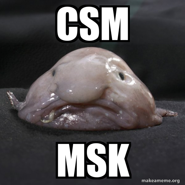 csm msk - Blobfish Meme Generator