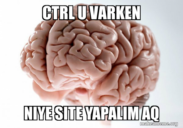 CTRL U VARKEN NIYE SITE YAPALIM AQ - Scumbag Brain Meme Generator