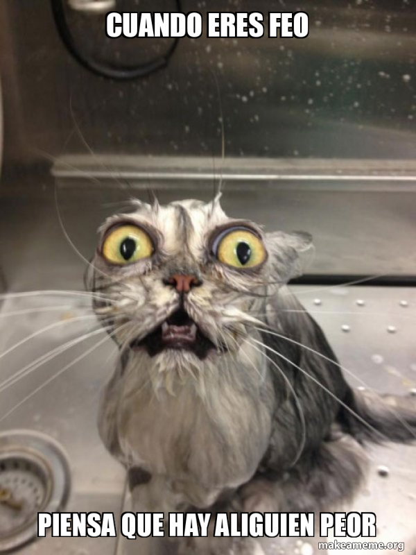 Memes Que Feo Estas