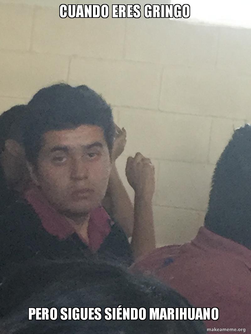 Memes Del Gringo