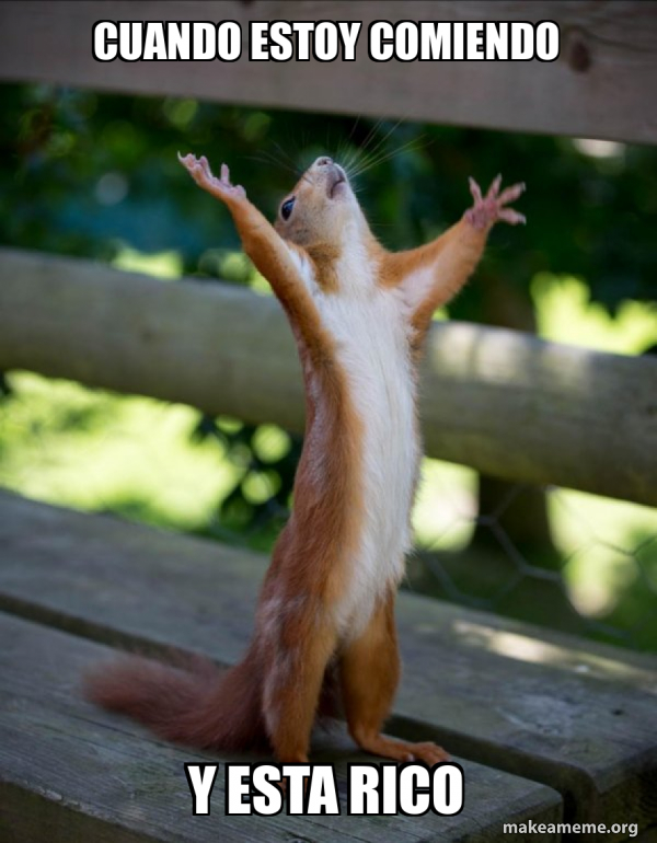 cuando estoy comiendo y esta rico - Happy Squirrel Meme Generator