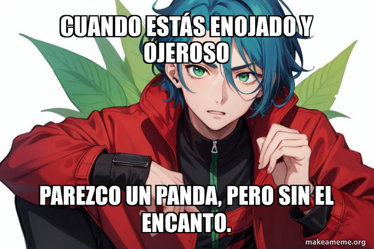 Cuando estás enojado y ojeroso Parezco un panda, pero sin el encanto ...