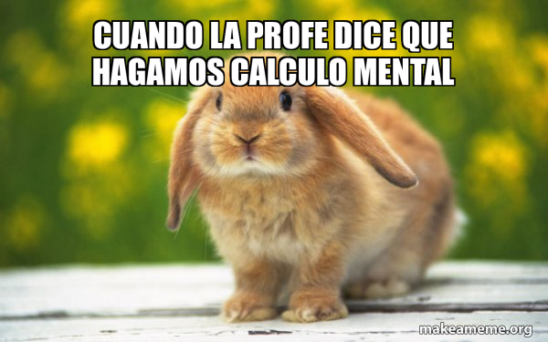 CUANDO LA PROFE DICE QUE HAGAMOS CALCULO MENTAL - Regretful Rabbit Meme ...