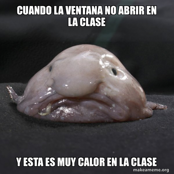 Memes Calor Ventana Verano 2016: Con Memes Le Dan La Bienvenida Al