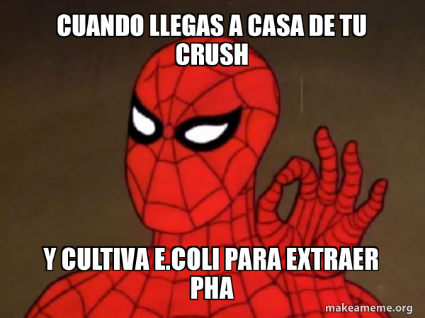 cuando llegas a casa de tu crush y cultiva E.coli para extraer PHA ...