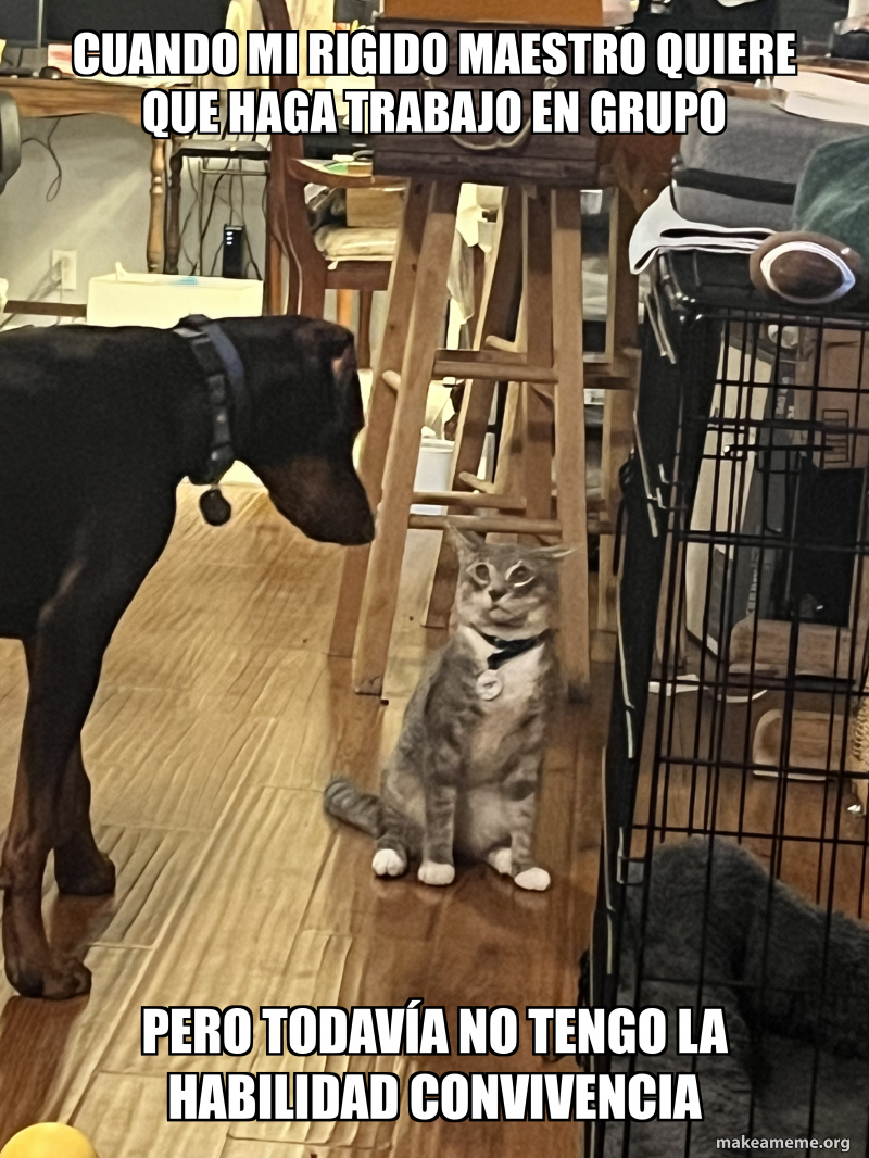 cuando mi rigido maestro quiere que haga trabajo en grupo pero todavía ...