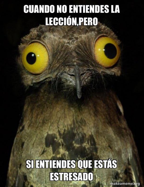 Cuando no entiendes la lección,pero Si entiendes que estás estresado ...