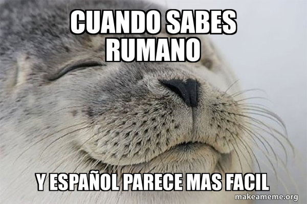 cuando sabes rumano y español parece mas facil - Satisfied Seal Meme ...