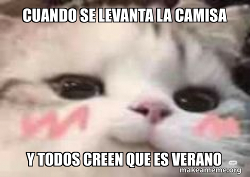 Cuando se levanta la camisa Y todos creen que es verano Meme Generator