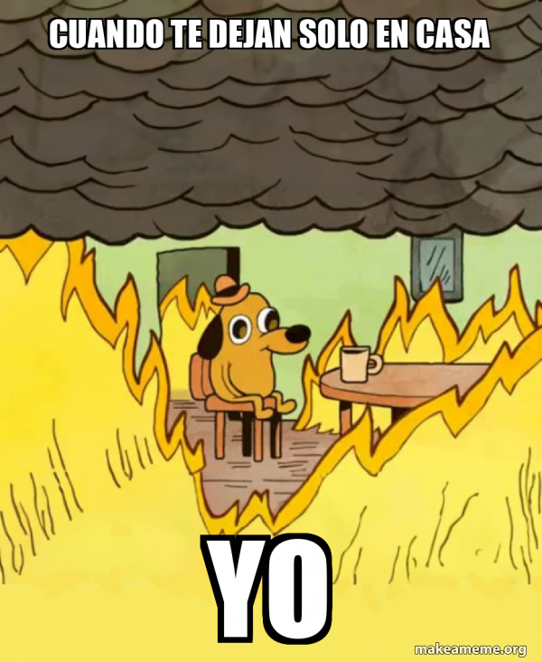 Cuando Te Dejan Solo En Casa Yo This Is Fine Meme Generator 