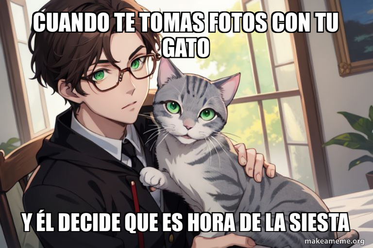 Cuando te tomas fotos con tu gato Y él decide que es hora de la siesta ...