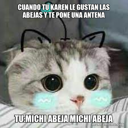 cuando tu karen le gustan las abejas y te pone una antena tu:michi ...