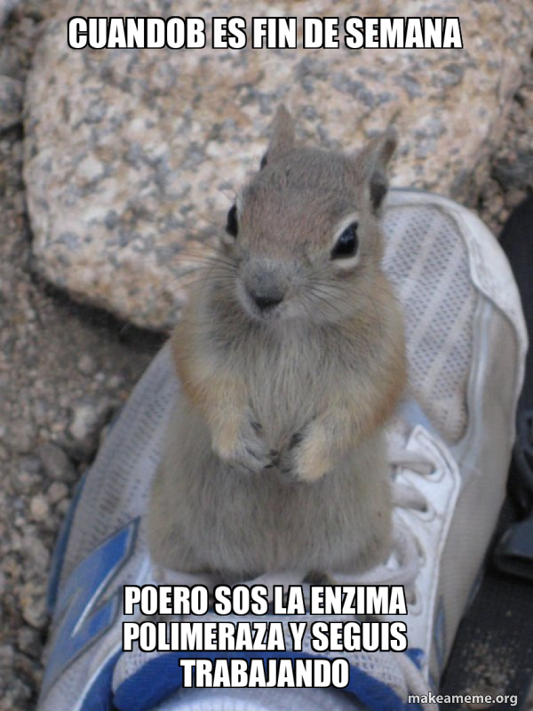 cuandob es fin de semana p0ero sos la enzima p0limeraza y seguis ...