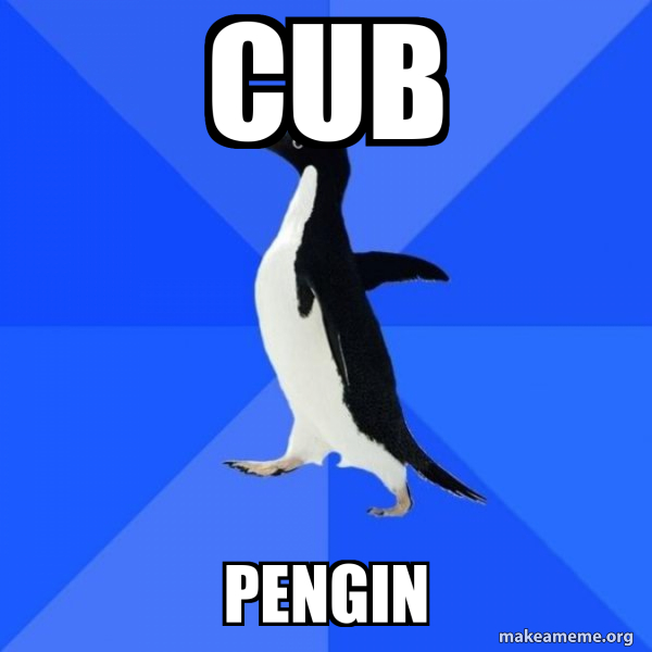 CUB PENGIN - Socially Awkward Penguin Meme Generator