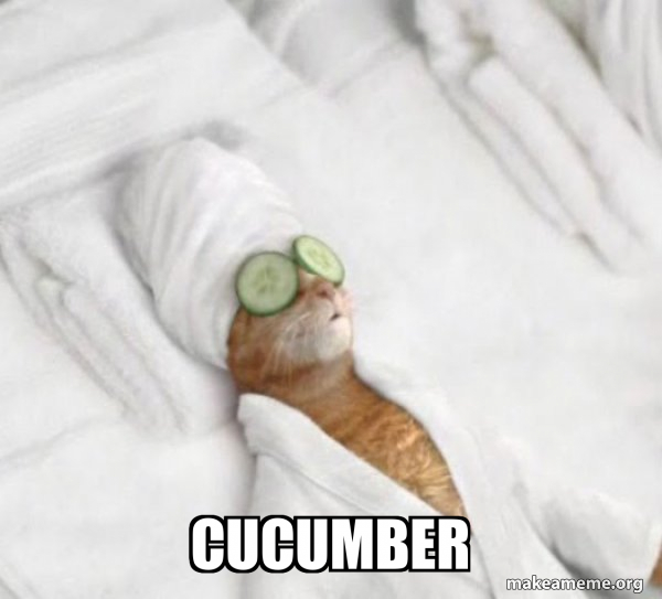 cucumber - Pampered Cat Meme Meme Generator