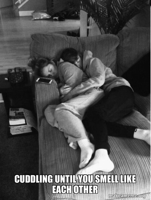Cuddling until you smell like each other Meme Generator