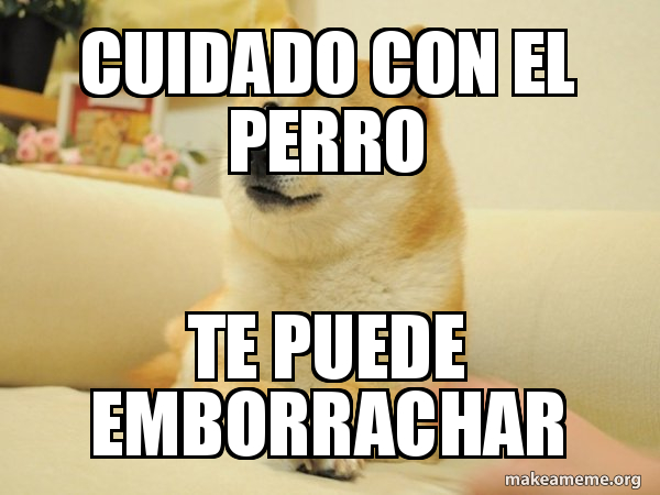 Memes El Perro 28 Memes De Perros Que Te Harán Derramar Lágrimas De
