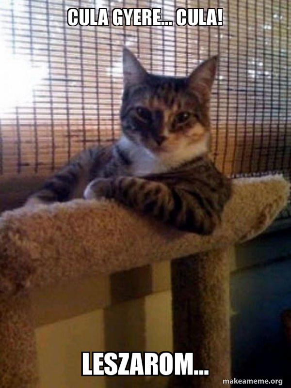 Cula gyere... Cula! Leszarom... - The Most Interesting Cat in the World ...