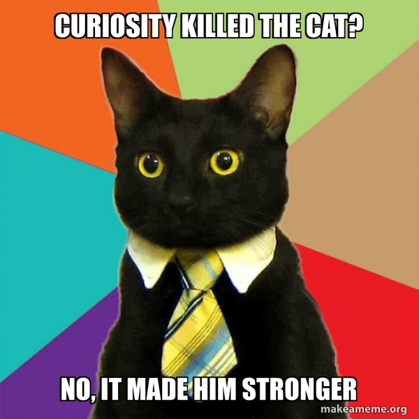 Curiosity killed the cat? No, it made him stronger - Business Cat Meme ...