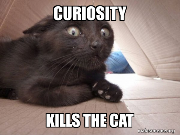 curiosity kills the cat - Schitzo Cat Meme Generator