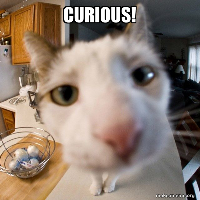 CURIOUS! Meme Generator