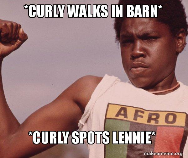 *Curly Walks In Barn* *Curly spots Lennie* - Niggas Be Like Meme Meme ...