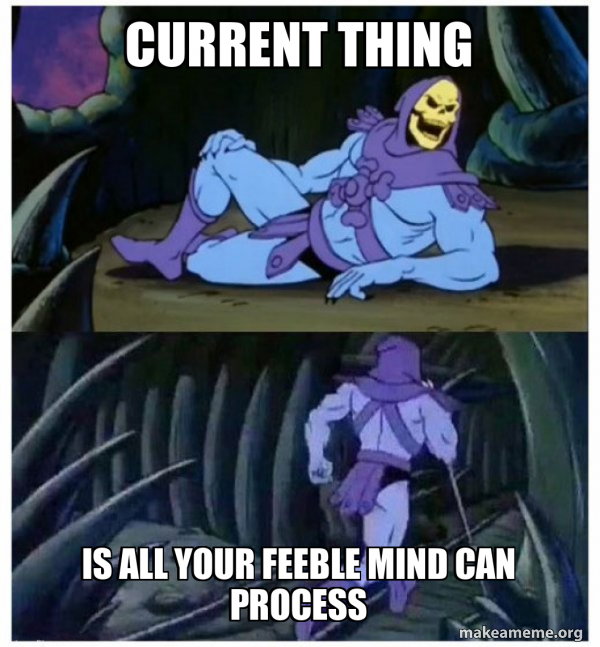 current thing is all your feeble mind can process - Skeletor Facts Meme ...