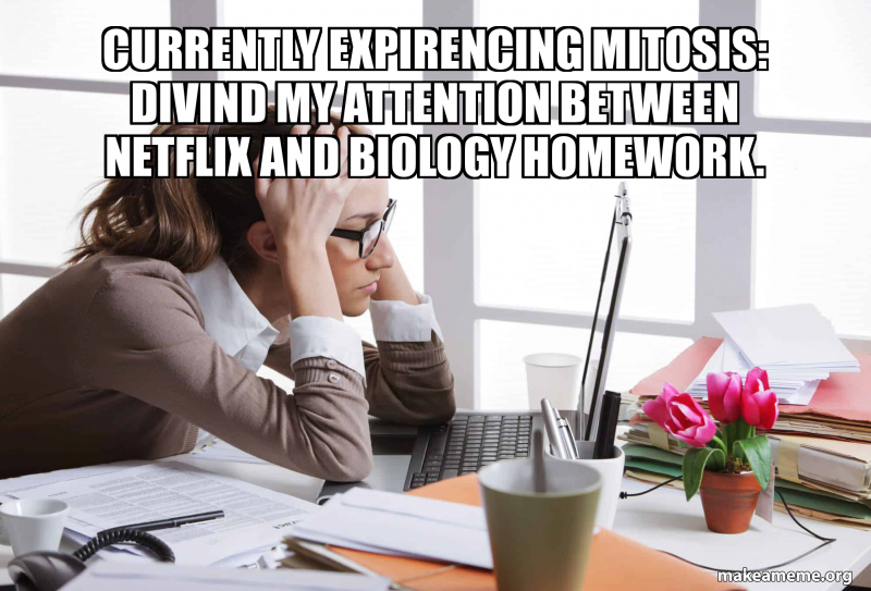 Currently expirencing mitosis: Divind my attention between netflix and ...