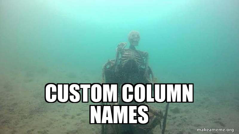 CUSTOM COLUMN NAMES Meme Generator