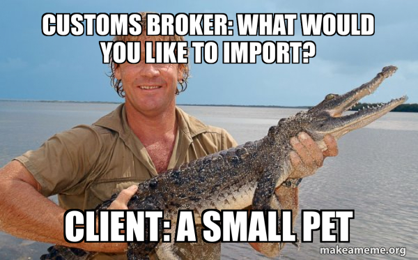 Customs Broker: What would you like to import? Client: A small pet ...