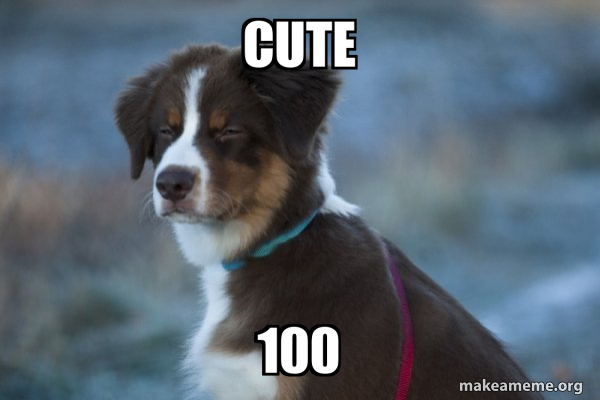 cute 100 - Unsure Dog Meme Generator