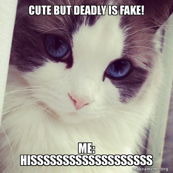 Cute but deadly is fake! Me: HISSSSSSSSSSSSSSSSSSS - Ridiculously ...