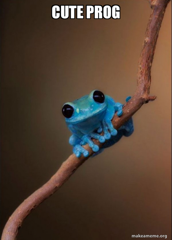 cute prog - Small Fact Frog Meme Generator