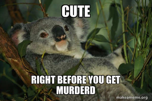 cute RIGHT BEFORE YOU GET MURDERD - Laid Back Koala Meme Generator