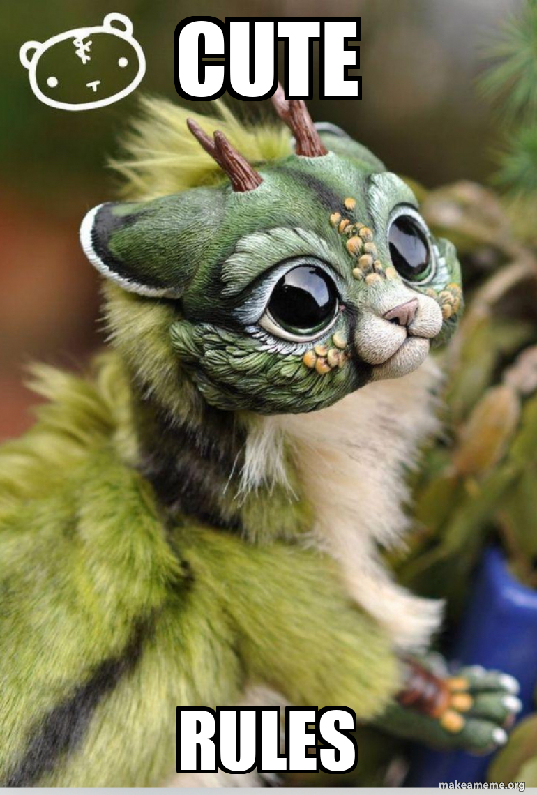 Cute Rules Meme Generator