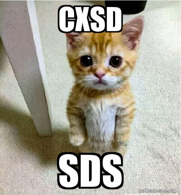 cxsd sds - Cute Cat Standing Meme Generator