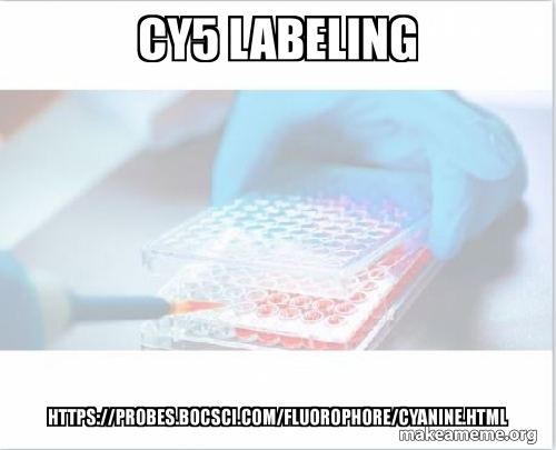 cy5 labeling https://probes.bocsci.com/fluorophore/cyanine.html Meme ...