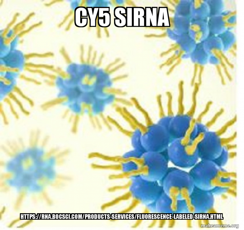cy5 sirna https://rna.bocsci.com/products-services/fluorescence-labeled ...