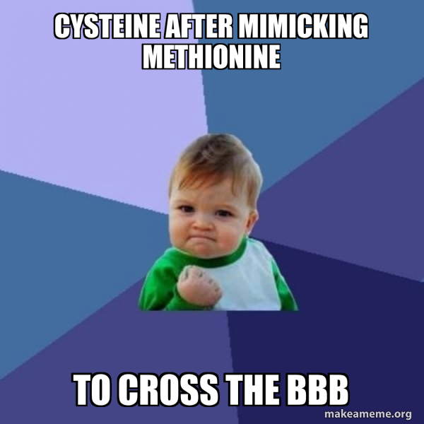 cysteine after mimicking methionine to cross the BBB - Success Kid Meme ...
