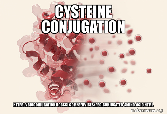 cysteine conjugation https://bioconjugation.bocsci.com/services/peg ...